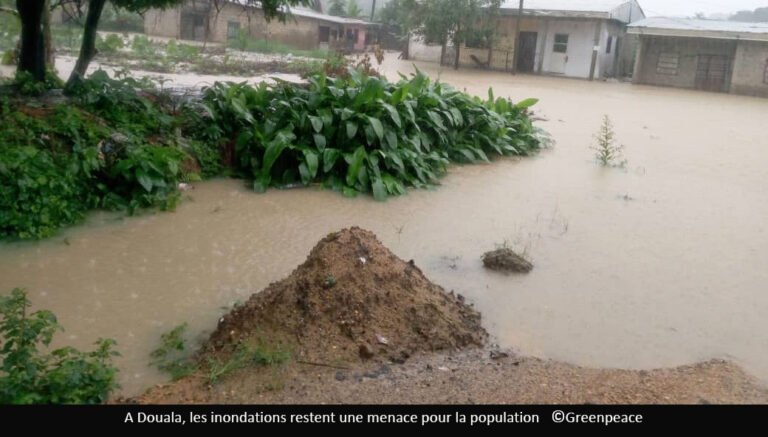 Changements climatiques : le Cameroun investit 406 milliards F Cfa en 2026