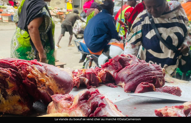Douala: la flambée du prix de la viande de boeuf inquiète